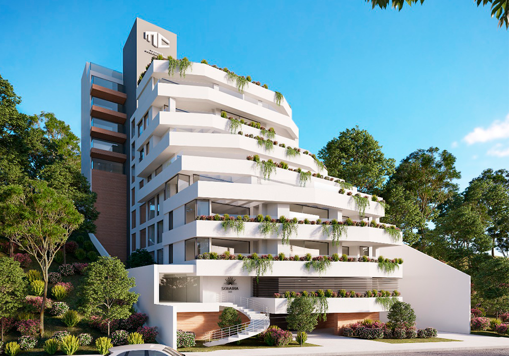 Ibis Milá - Trivo